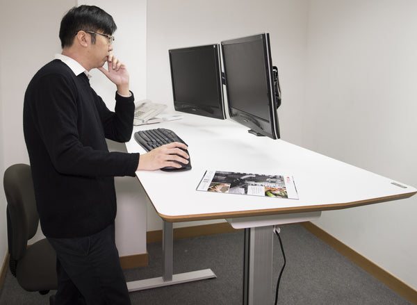 Aluminium Series Electric Dynamic Work Station - Rife Technologies