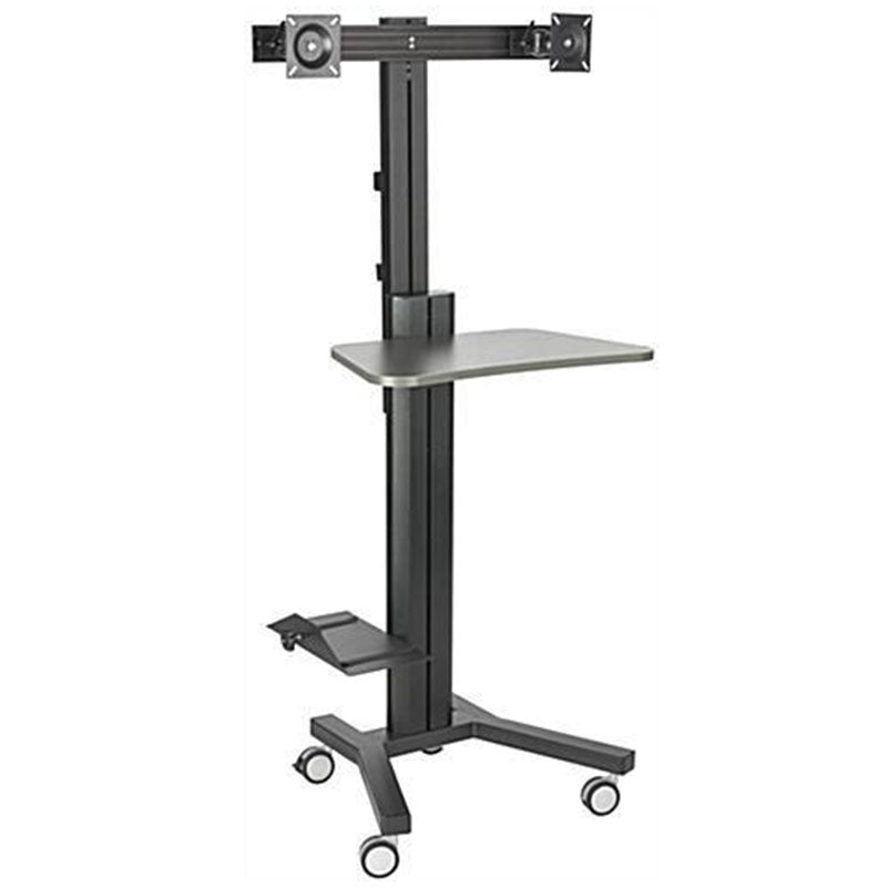 Dual Computer Mobile Cart (MCT09-b) - Rife Technologies