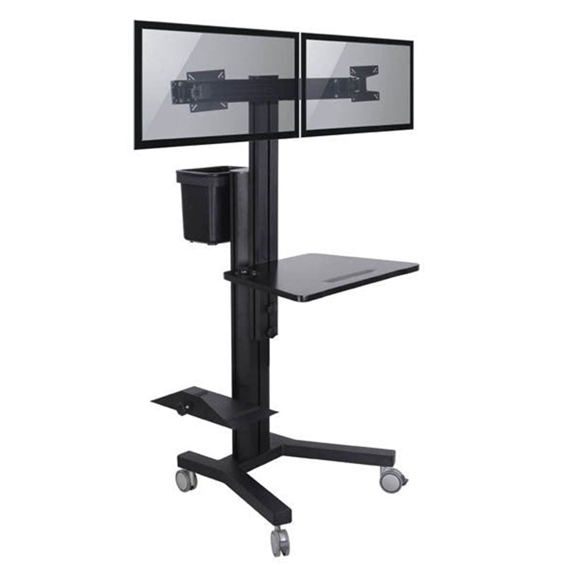 Dual Computer Mobile Cart (MCT09-b) - Rife Technologies
