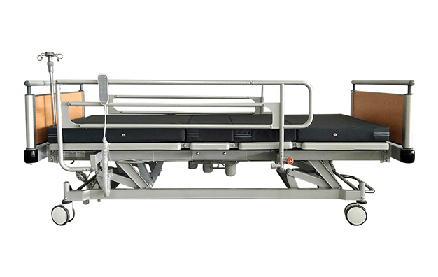 PRODIGY-EF (Three Functions Electric) - Rife Technologies